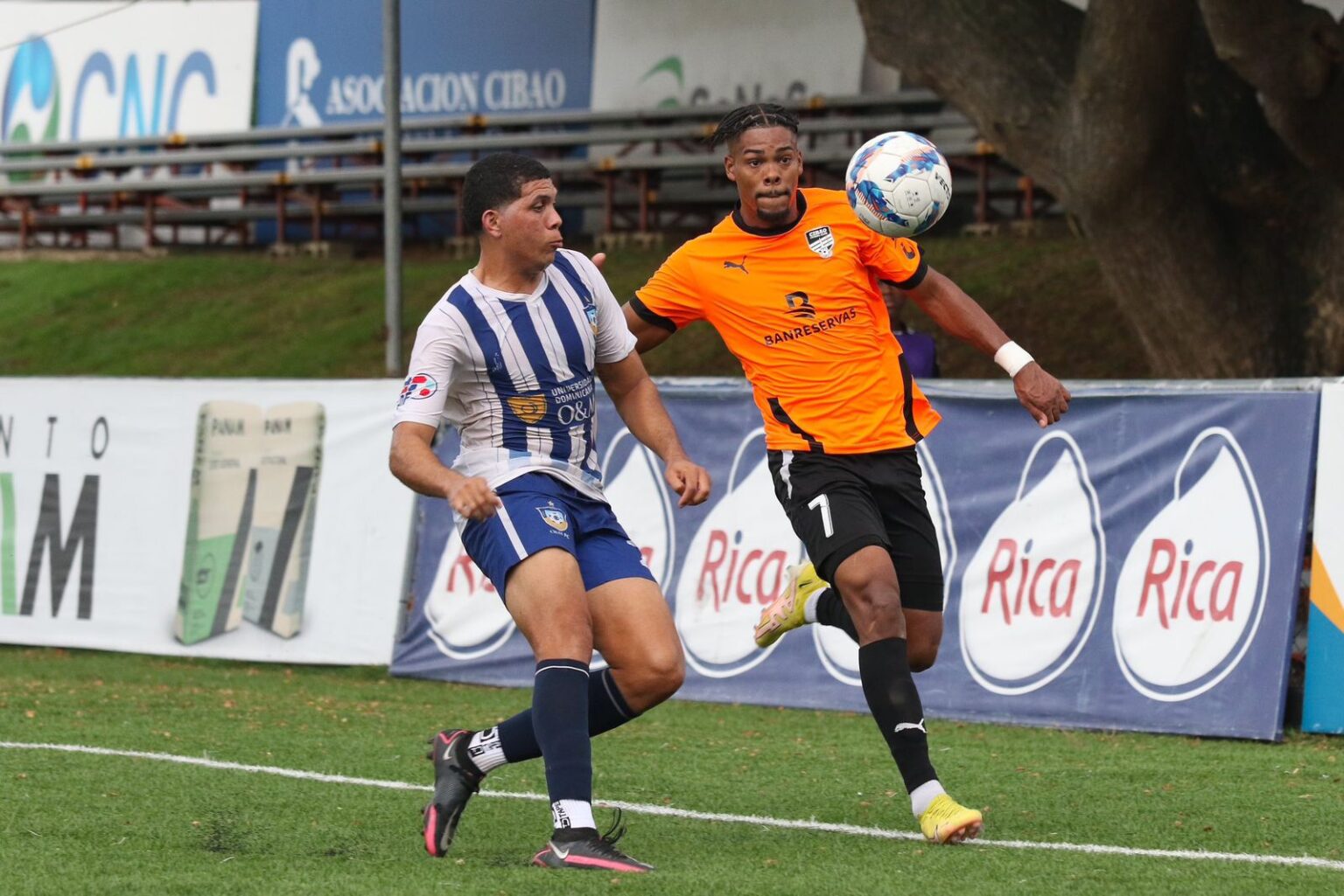 Triunfo Del Cibao En Partido Que Completó La Quinta Fecha De La ...